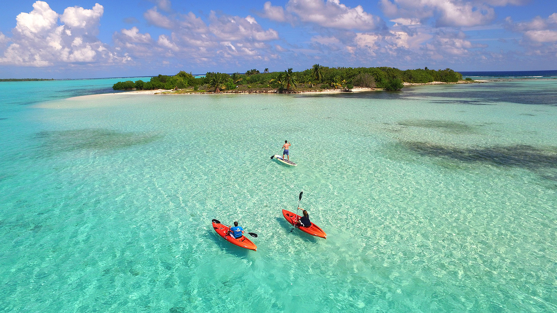 Rum Point Grand Cayman | Beachside Relaxation & Snorkeling Guide